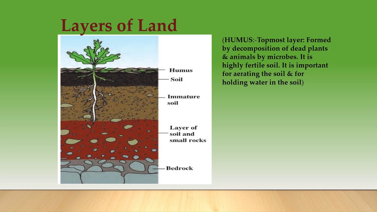 class 6th L1: Natural resource-Land - YouTube
