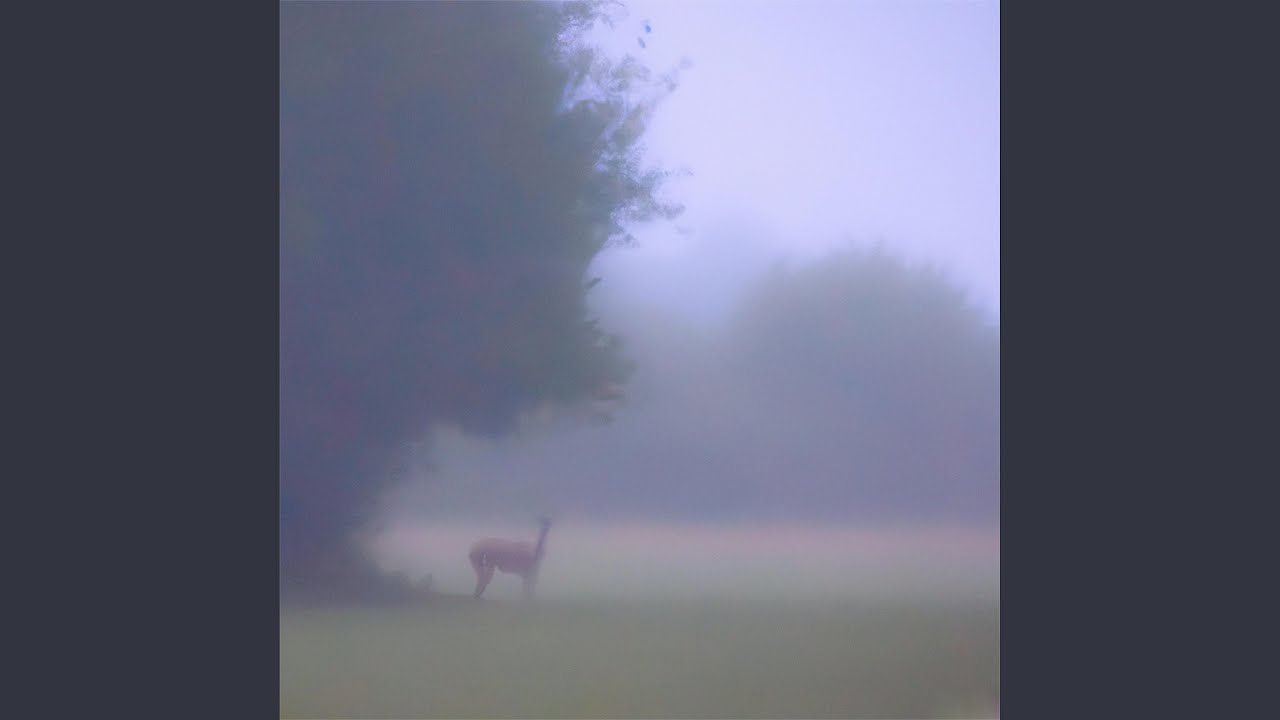 A Doe in the Mist - YouTube