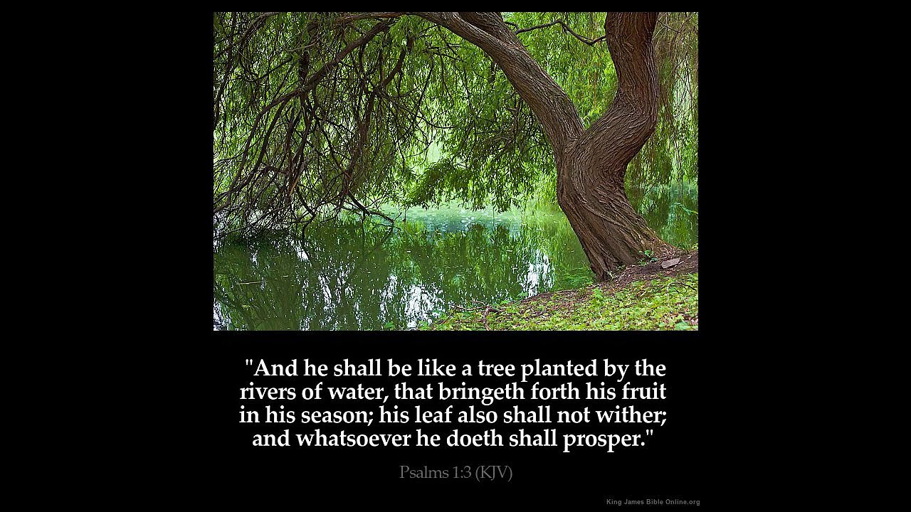 Church School LIVE! with Gayle M. Gilmore (8/16) - YouTube