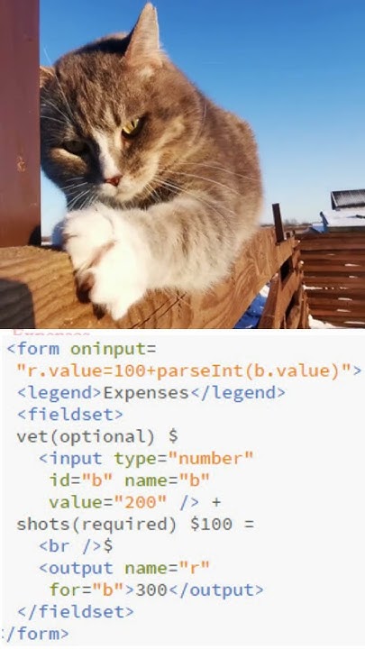 oninput calculate output of HTML form - YouTube