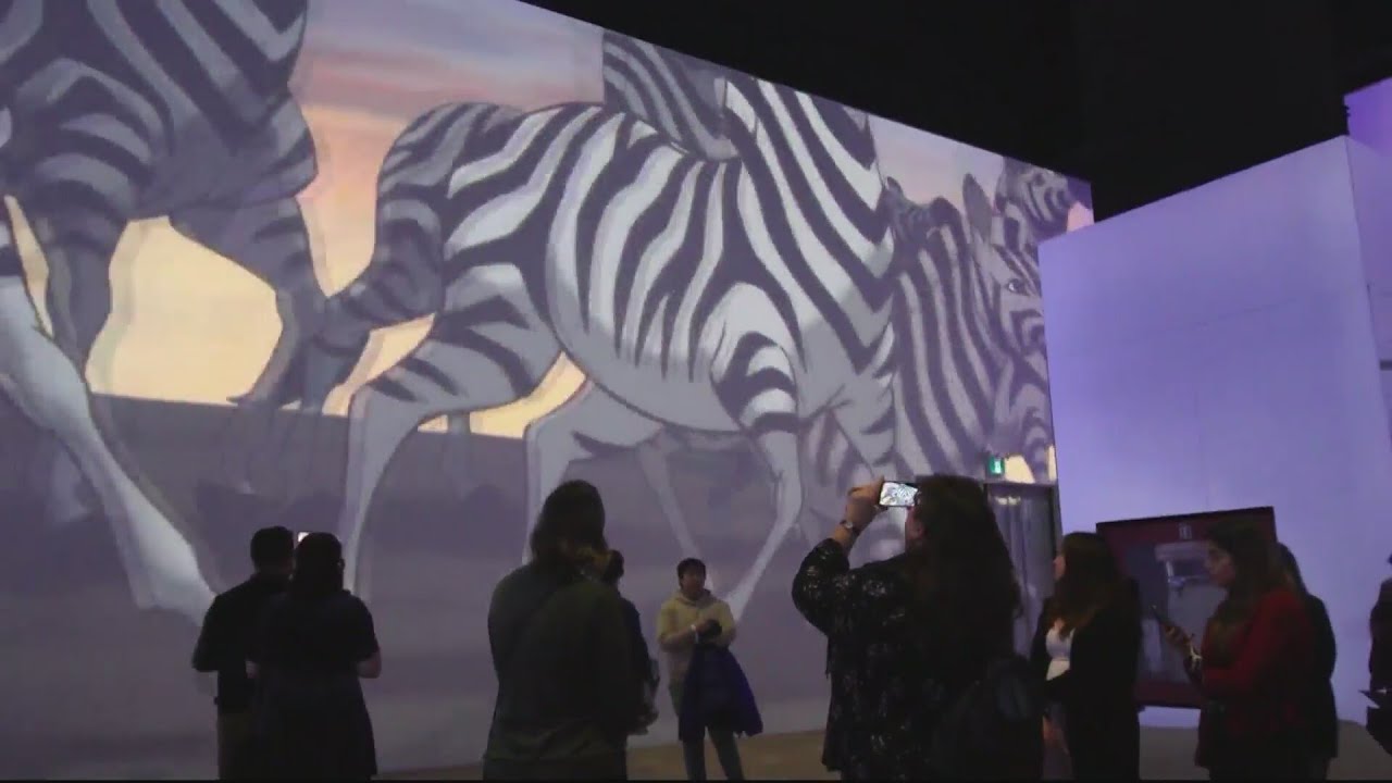 Sponsored content: Best of Branson: Disney Immersive - YouTube