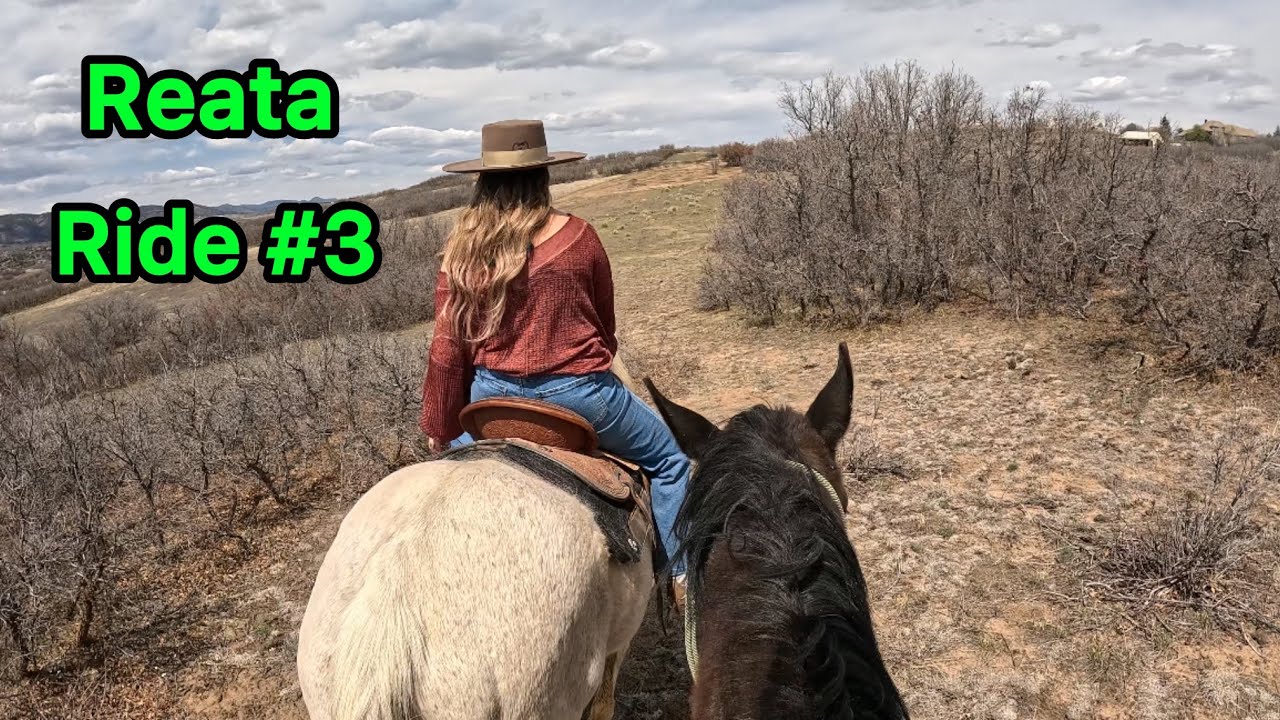 Reata’s 3rd Ride - YouTube