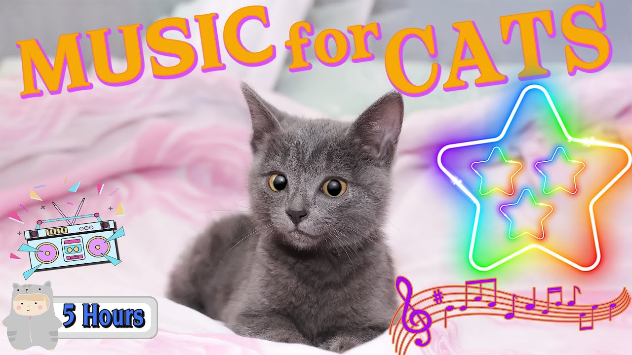 Healing Cat Lullaby Music | Sleep Music Specially Designed for Cats ...
