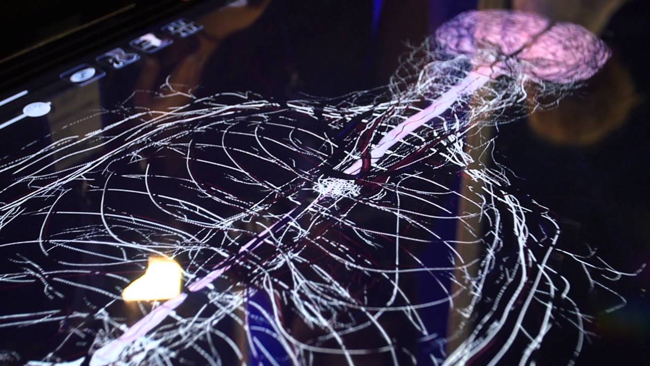 Anatomage table at Emerge Americas 2016 - YouTube