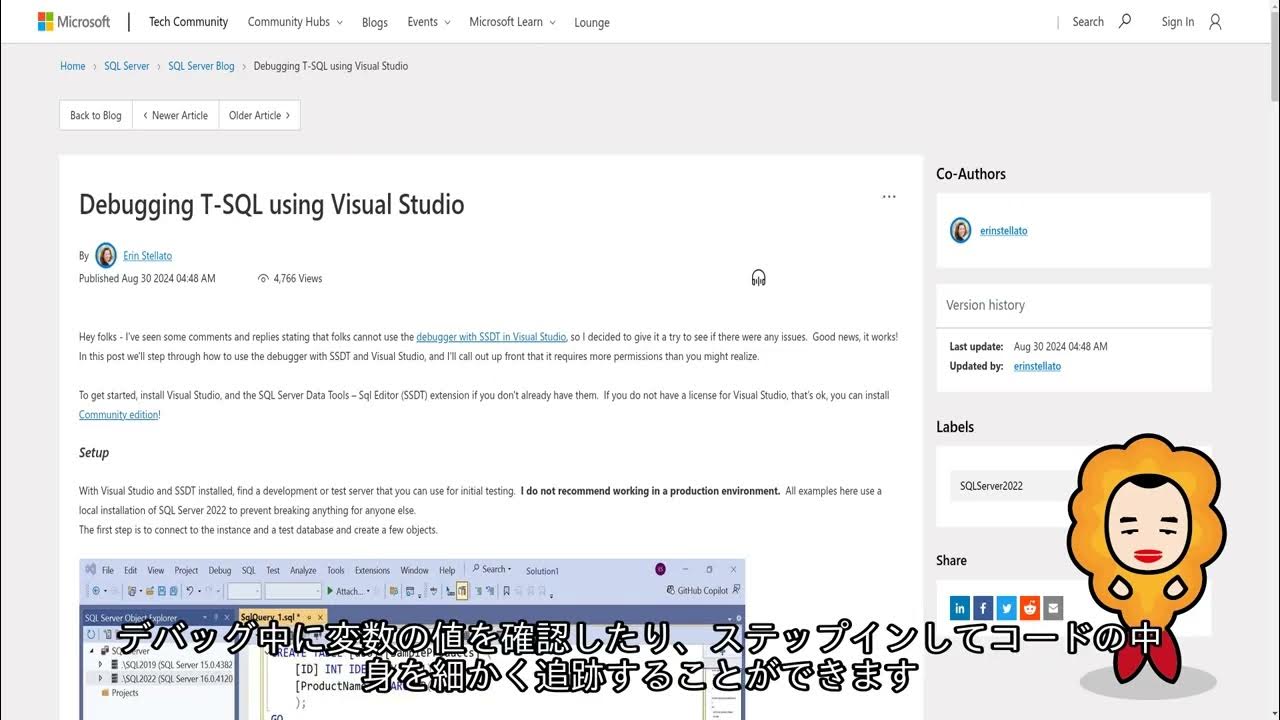 【ブログ概要紹介】Debugging T-SQL using Visual Studio - YouTube