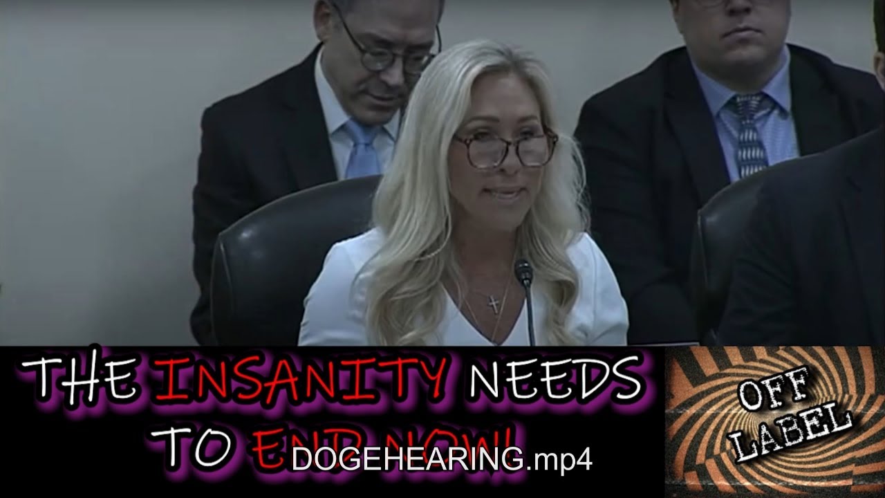 The First DOGE Committee Hearing - YouTube