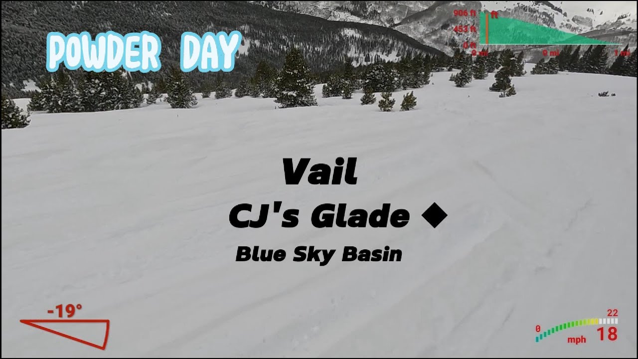 Vail - Powder Day on CJ's Glade in the Blue Sky Basin #vail #powderday ...