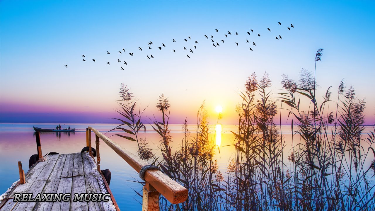 Relaxing Piano Music: Sleeping Music, Bird Sounds, Relaxing Music ...