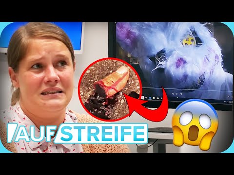 Ab mit ihrem DAUMEN! 🐰 Maskierter droht in Video der Schwester was anzutun | Auf Streife | SAT.1