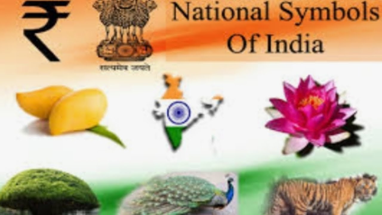 national symbols of india for kids,national symbols of india in english ...