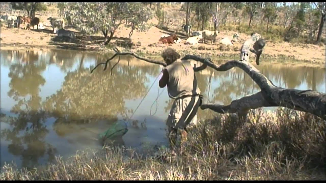 Part 3 of Wild Finn Adventures - YouTube