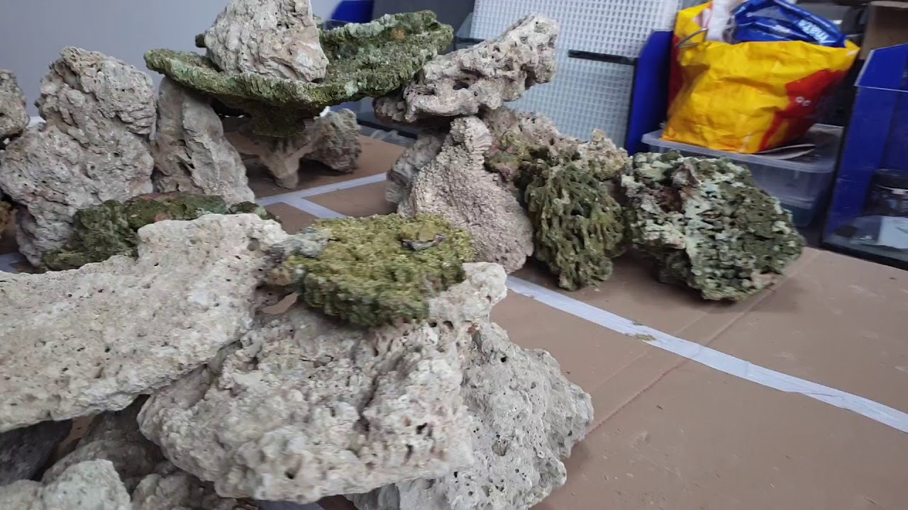 First round of scaping the 4000l reef tank - YouTube