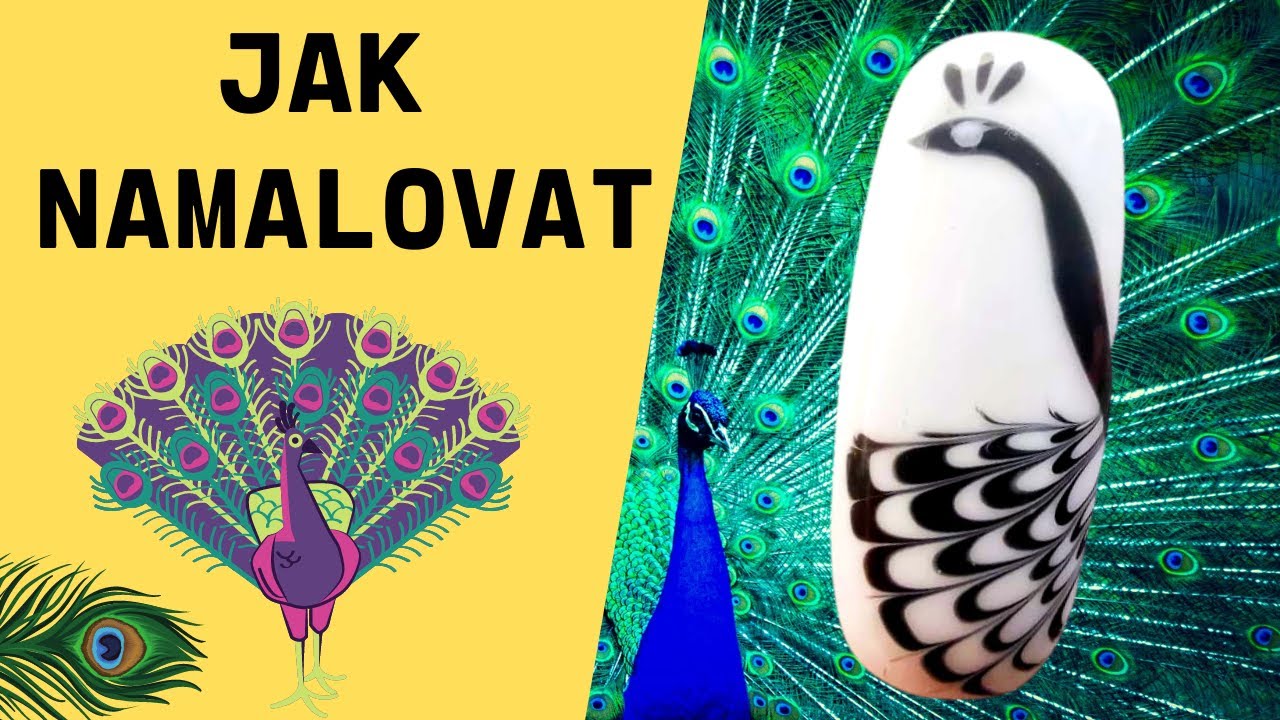 Paví zdobení / jak jednoduše namalovat páva - YouTube