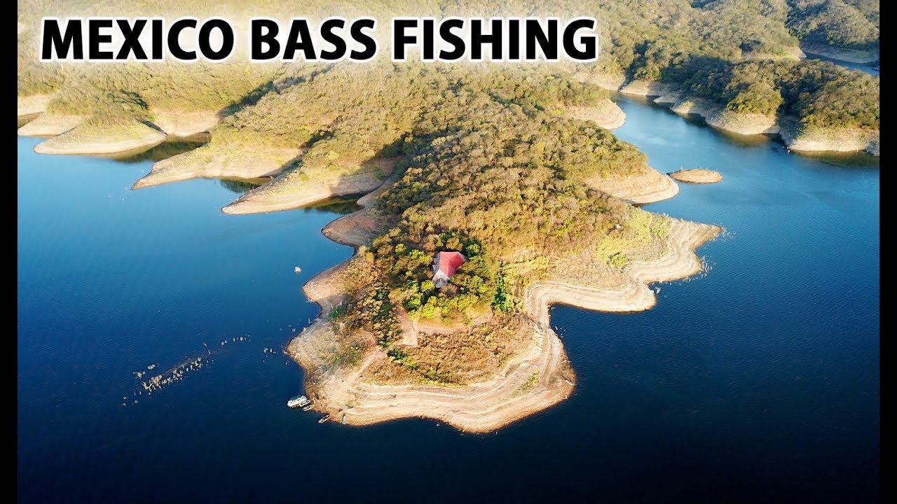 AMAZING Mexico Bass Fishing - Lake Comedero at Papachal Lodge! - YouTube