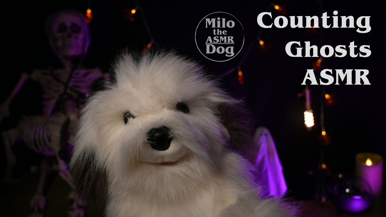 👻🎃Spooky Dark & Relaxing ASMR Ghost Counting With Mouth Sounds 🎃👻 - YouTube