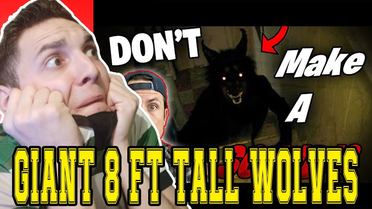 FAMILY HUNTED BY UNIDENTIFIED CREATURES... | MR. BALLEN | GIANT 8 FT ...