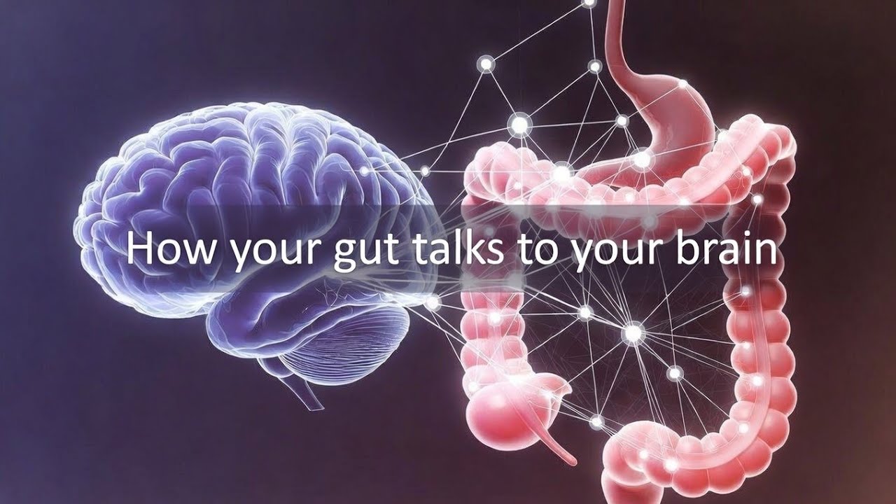 How Your Gut Talks to Your Brain (The Gut-Brain Axis Explained) - YouTube