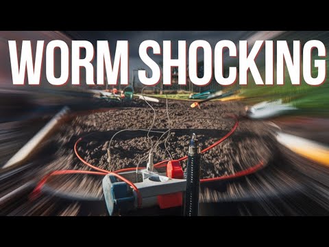 Electric Worm SHOCKER. DOES IT WORK??!!