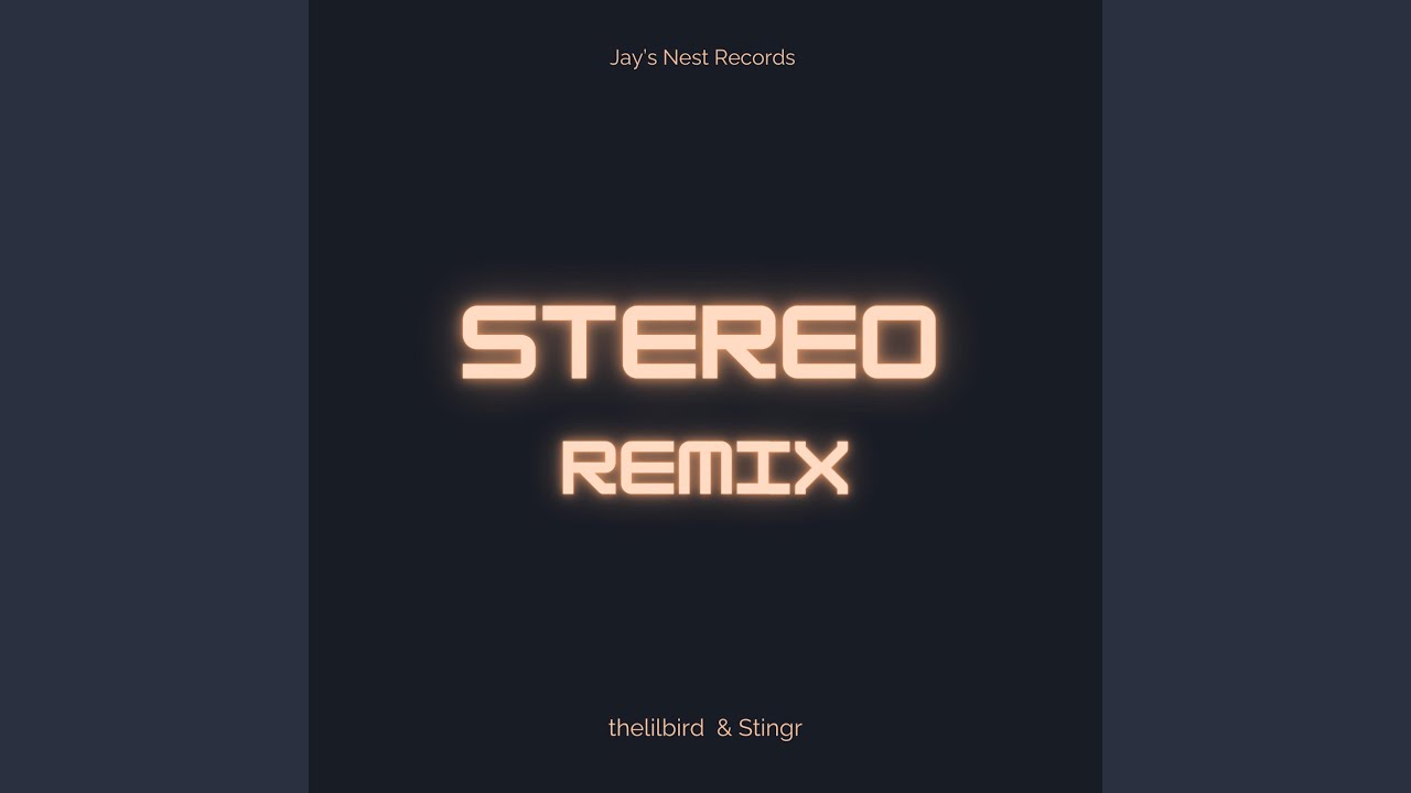 Stereo (feat. Stingr) (Remix) - YouTube