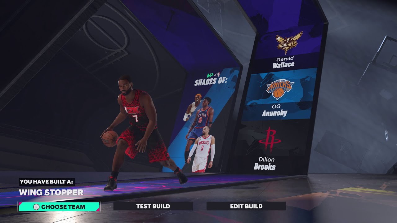NBA 2K25 RARE BUILDS - WING STOPPER - YouTube