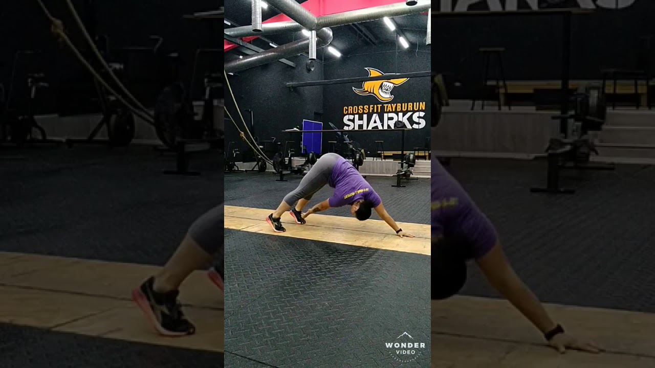 Plank Toe Touches - YouTube