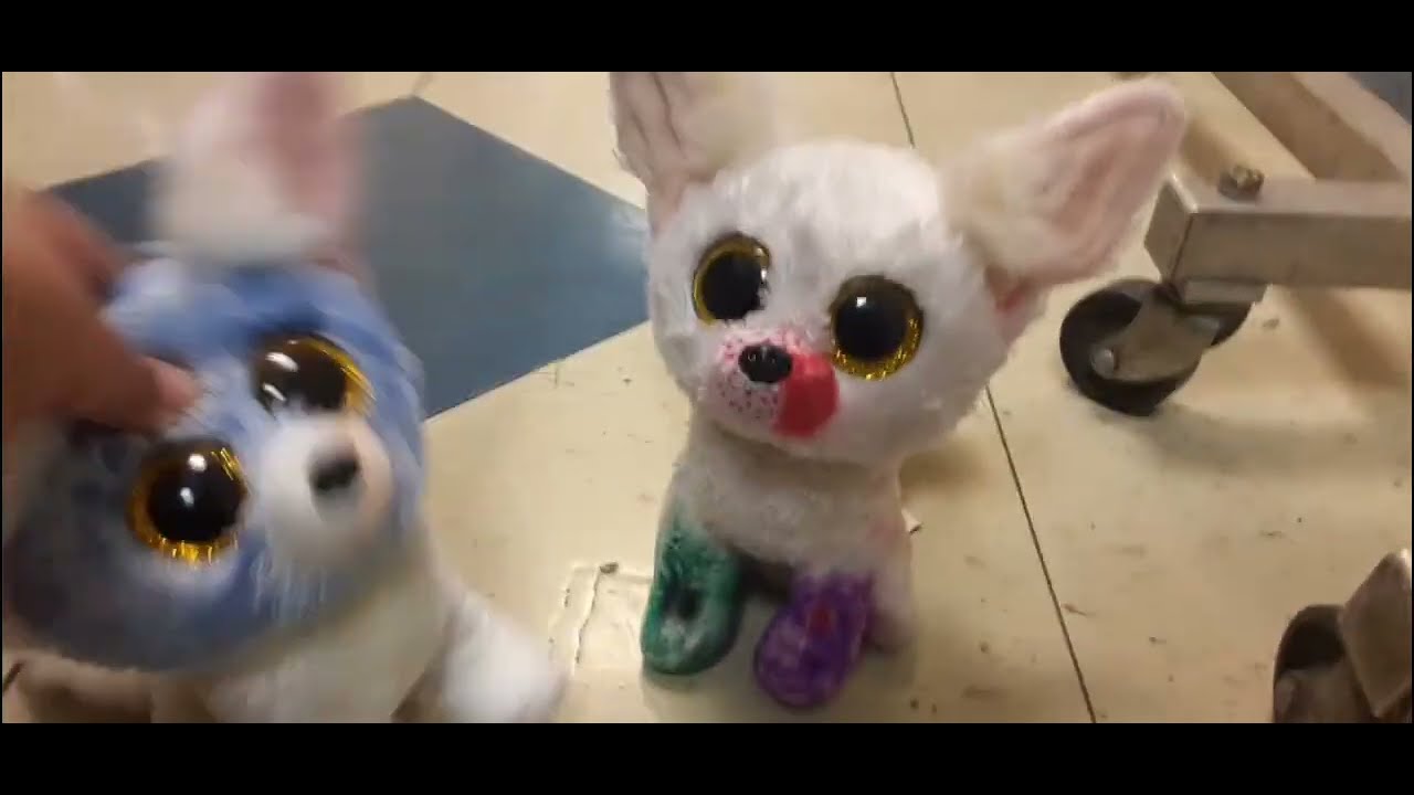 Gingerbread Man beanie boo music video - YouTube