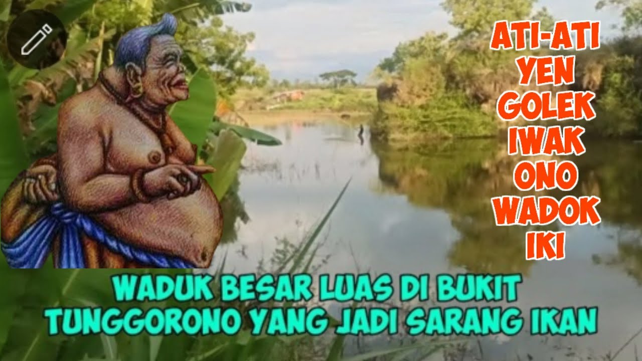 #blusukan , wadok besar , ada orang cari ikan tak terlihat - YouTube