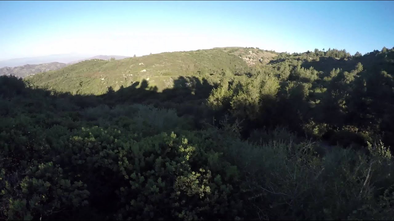 D19 Deer Hunt Missed Shot - YouTube