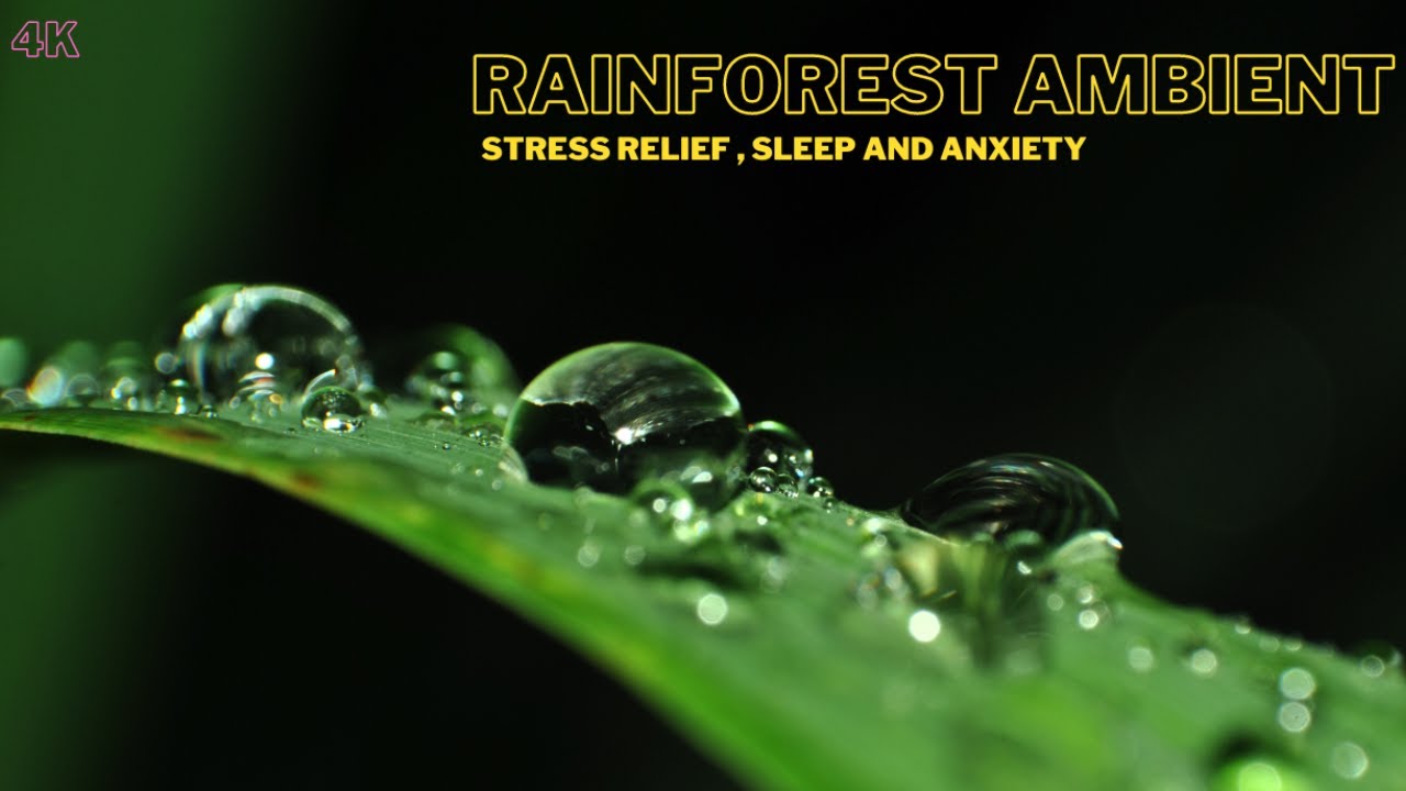rain relaxation with Gentle Music . Rain Sounds for Inner Peace and ...