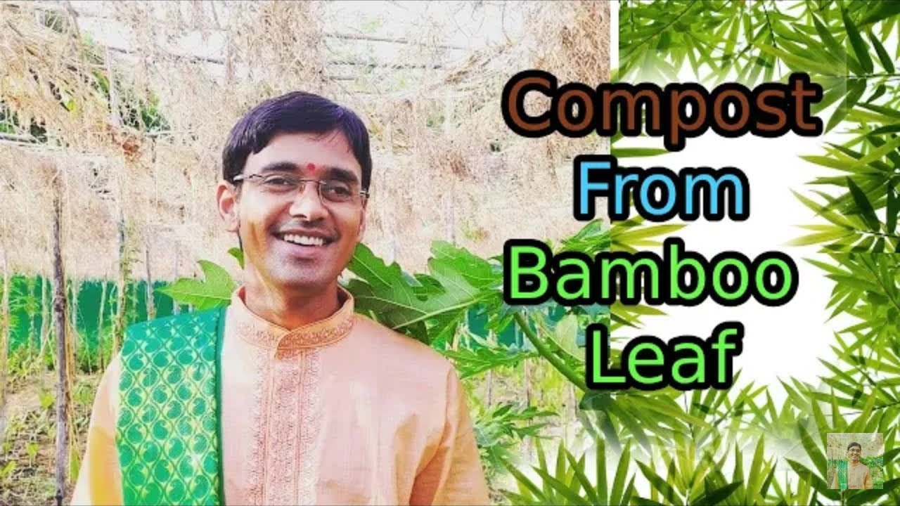 How to make compost from bamboo leaf by Akash Chourasiya - YouTube