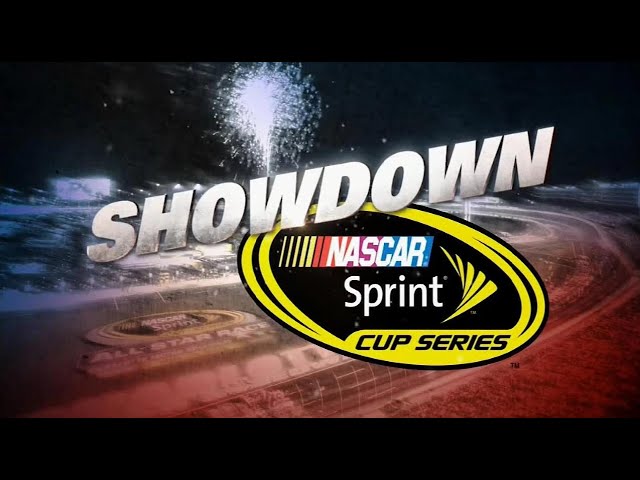 Sprint Cup Champion Logo