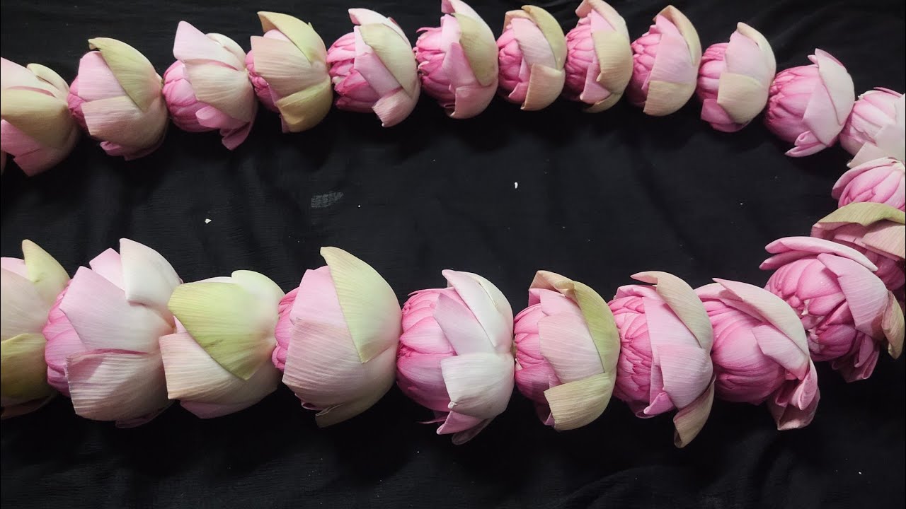 தாமரை இதழ்களை மடித்து மாலை கட்டுவது எப்படி|lotus flower garland ...