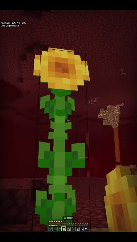 Para que o girassol do minecraft - YouTube