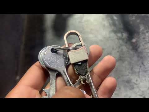 XXL XXL XXL XXL FREESTYLE 2024 |XXL 2024 | Xxwd5000xa | XXL XXL XXL XXL FREESTYLE