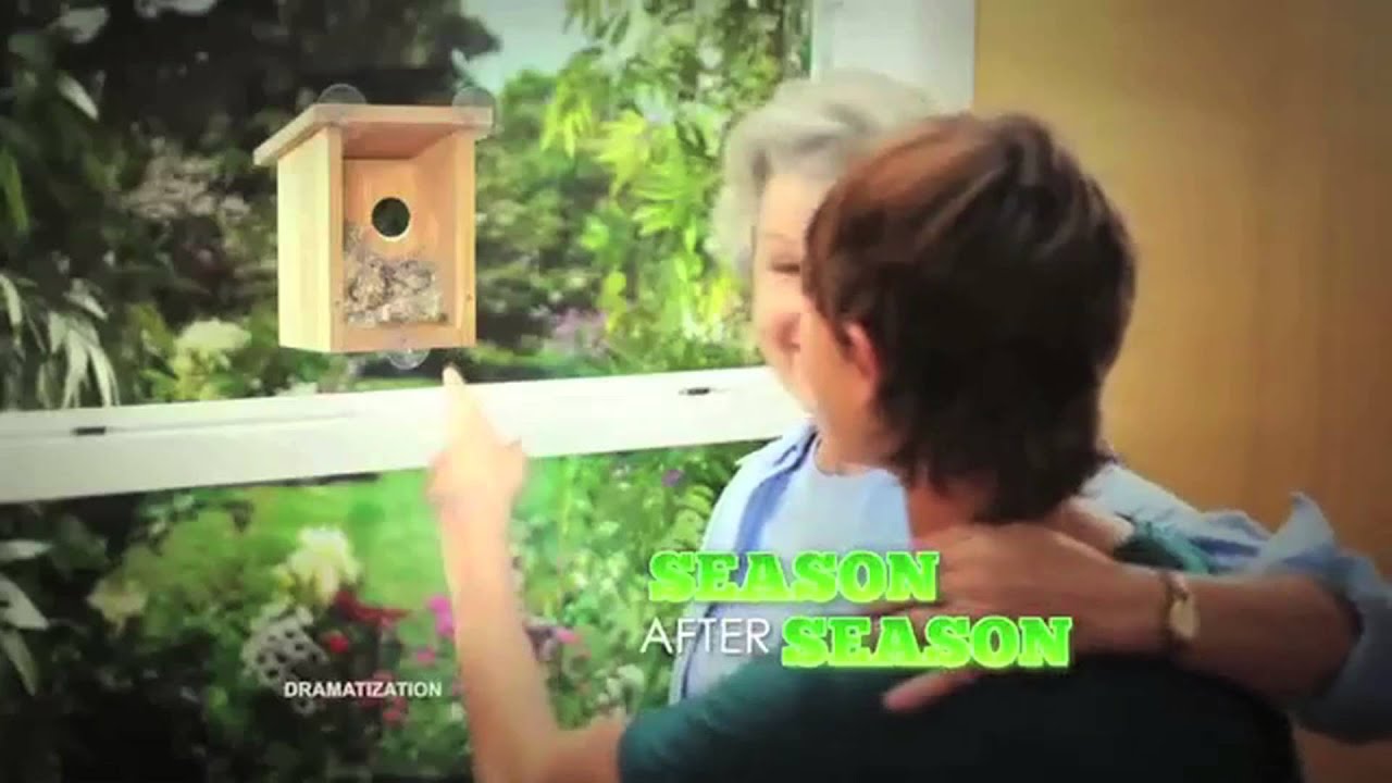 TV COMMERCIAL REMIX: MY SPY BIRD HOUSE OF PAIN @9GAG - YouTube