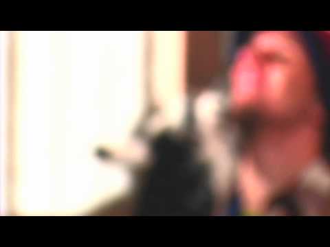 Mason Proper - "Traveling Men (The Pond)" Official Music Video - YouTube