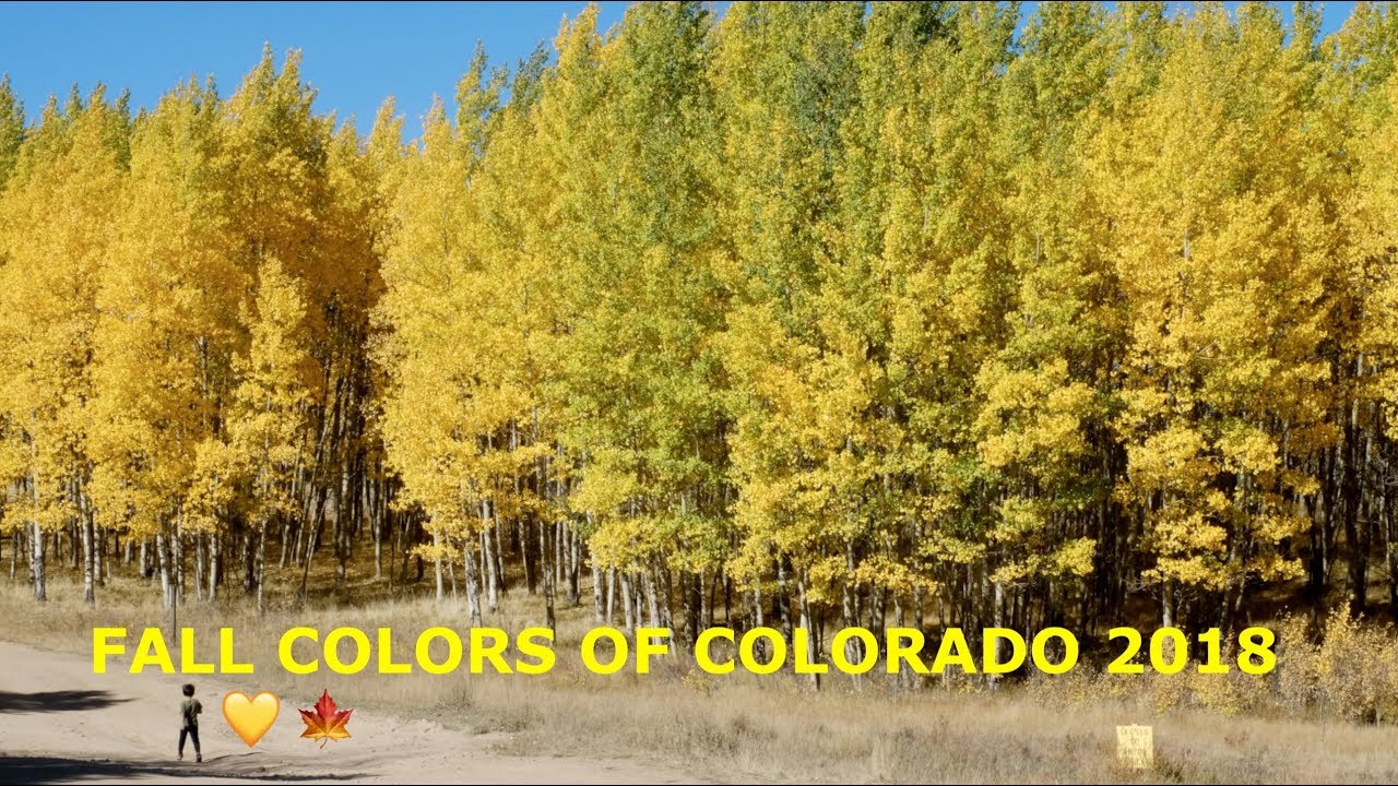 Beautiful Colors of Colorado! Fall Colors 2018! //Sanchez Fun - YouTube