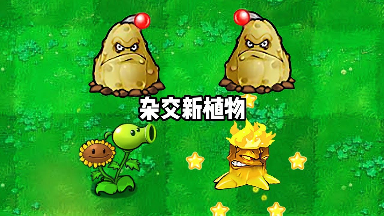 PvZ Hybrid -new plant Potato squash thunder Starfruit tree stump 植物大战僵尸 ...