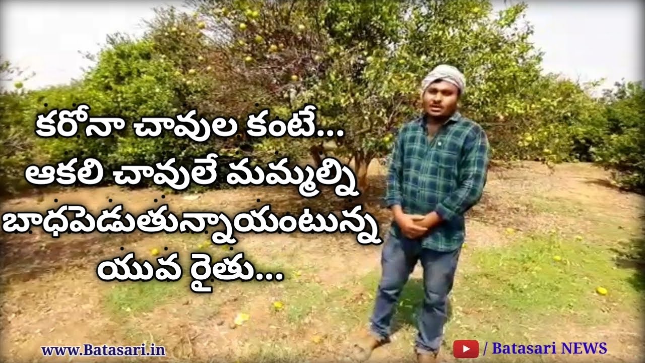 పంట చేతికి అందక నష్టపోతున్న యువరైతులు | Batasari NEWS | - YouTube