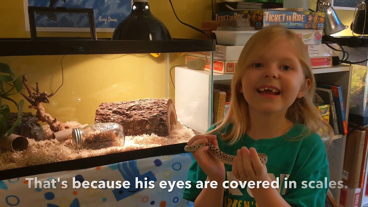 Bronx Children's Museum: Slithering Snakes II - YouTube