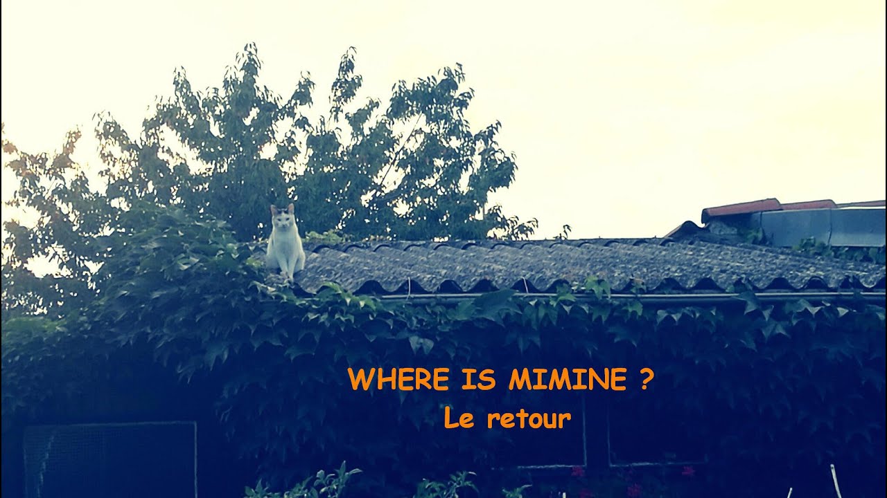 WHERE IS MIMINE ? Le retour - YouTube
