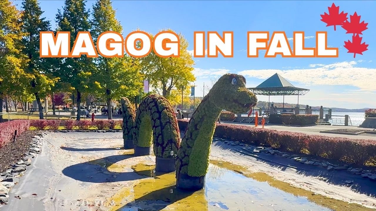 ⭐ Peak Fall Colors in Magog! 🍁 Walking Tour of Parc de la Baie de Magog ...