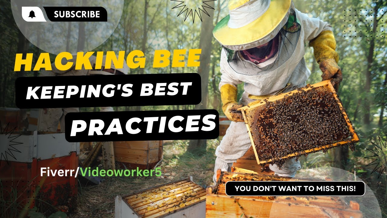 Engineering Your Hive: Beekeeping Tips - YouTube