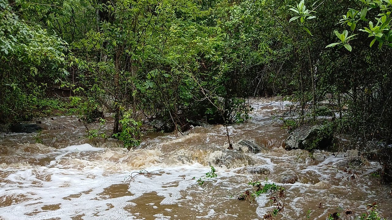 manhã de chuva forte com cheia grande no riacho - YouTube