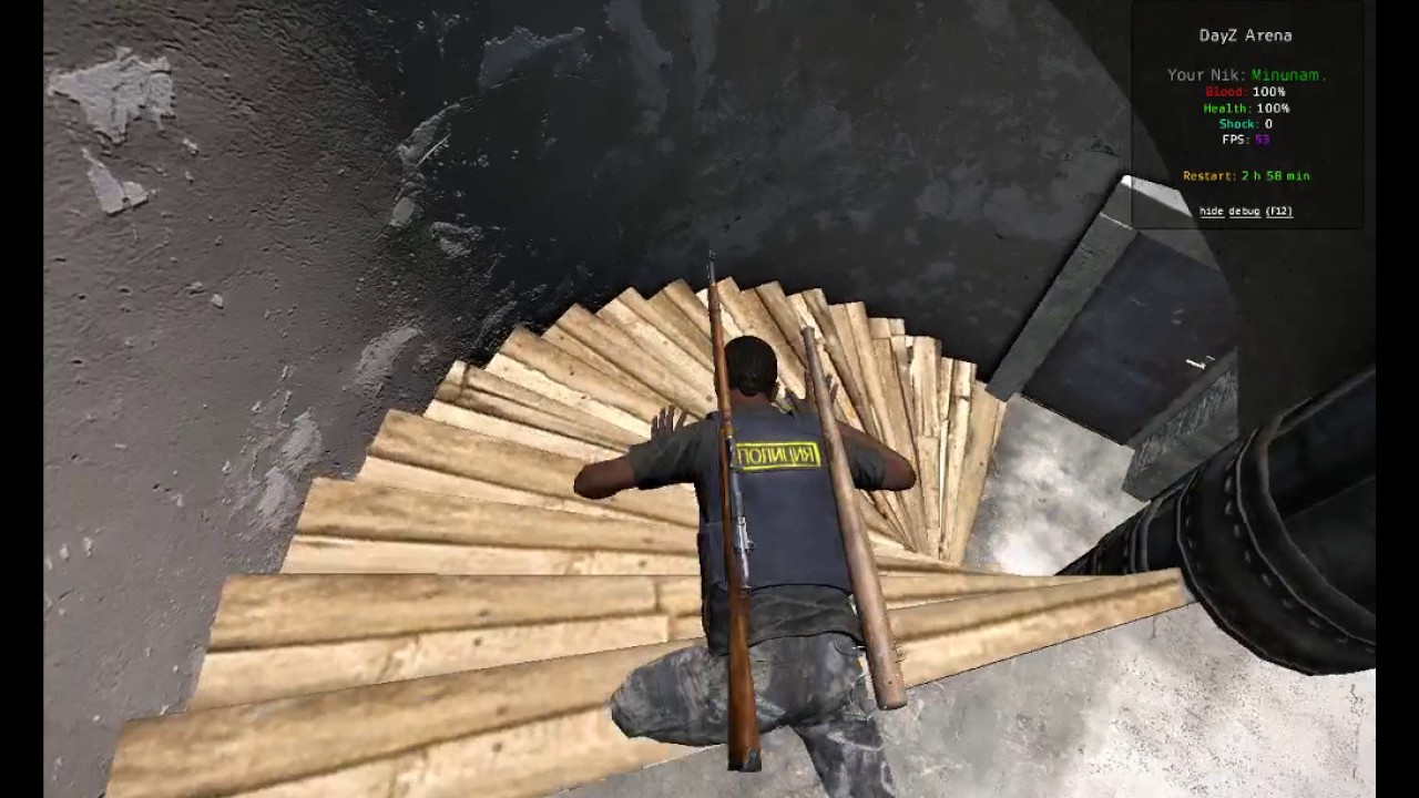 Dayz Arena Stream - YouTube
