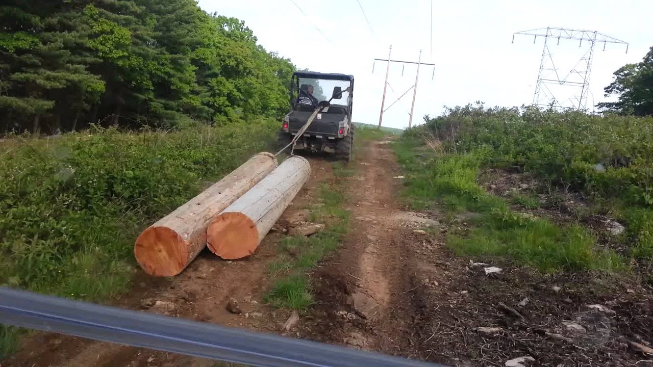 Rhino towing logs - YouTube