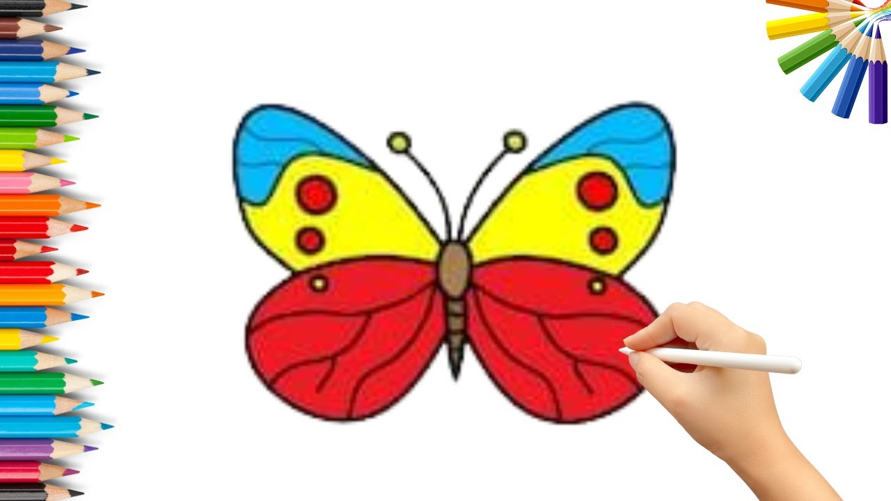 Butterfly Drawing Easy Step by Step/how to draw Butterfly /coloring For ...