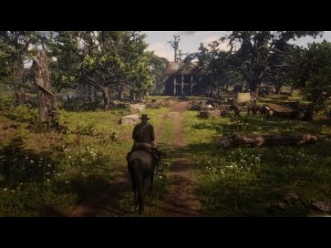 Red Dead Redemption 2. Coach Robbery. South Scarlett Meadows. Lemoyne ...