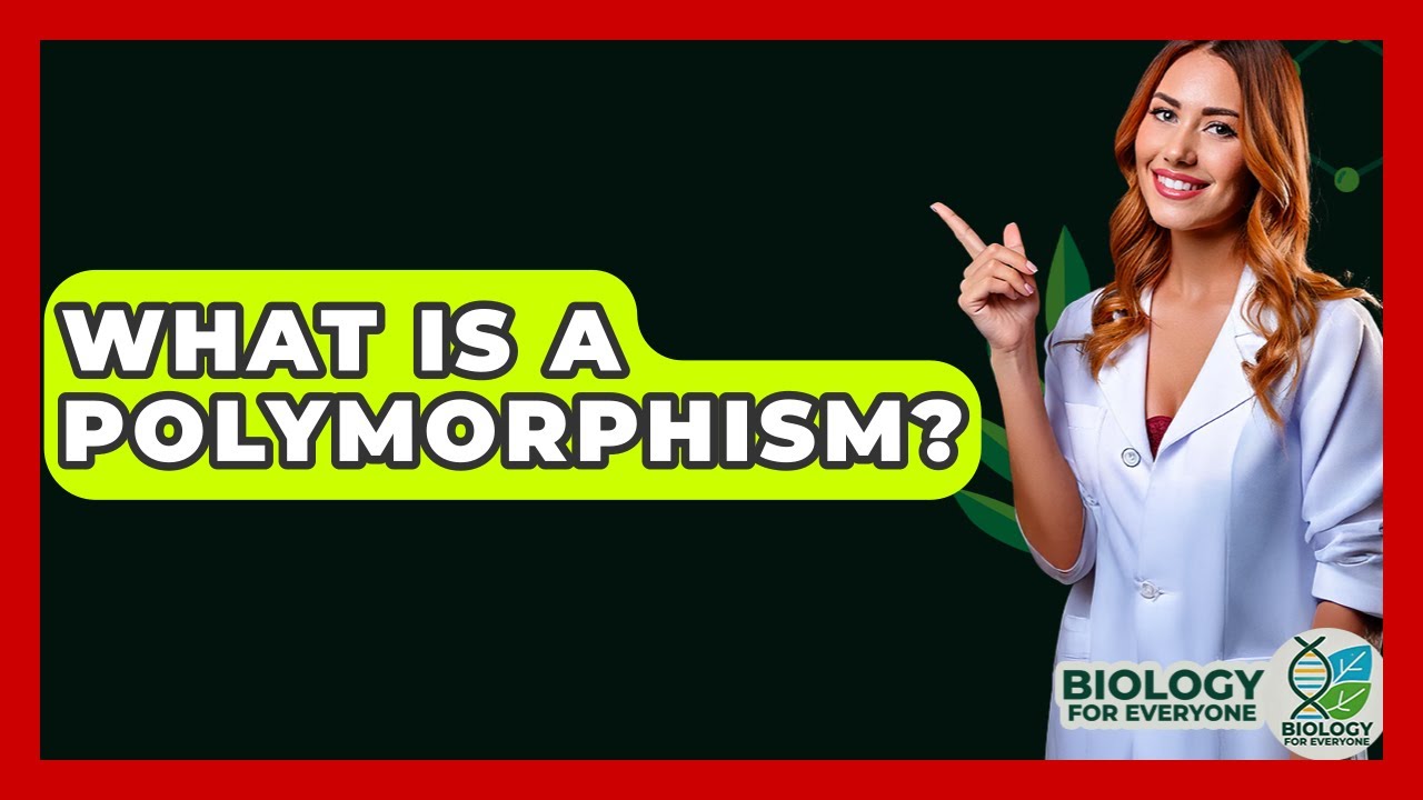 What Is A Polymorphism? - Biology For Everyone - YouTube