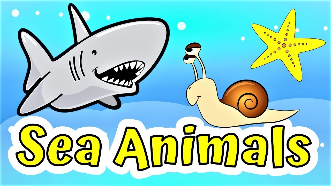Sea Animals For Kids Learn Sea Animal Names For Children Learn sea-animals-for-kids-learn-sea-animal-names-for-children-learn